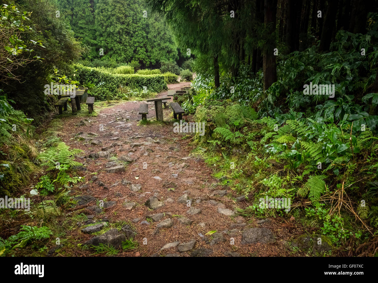 Small picnic table in a forest on the side of a mountain trail in the ...
