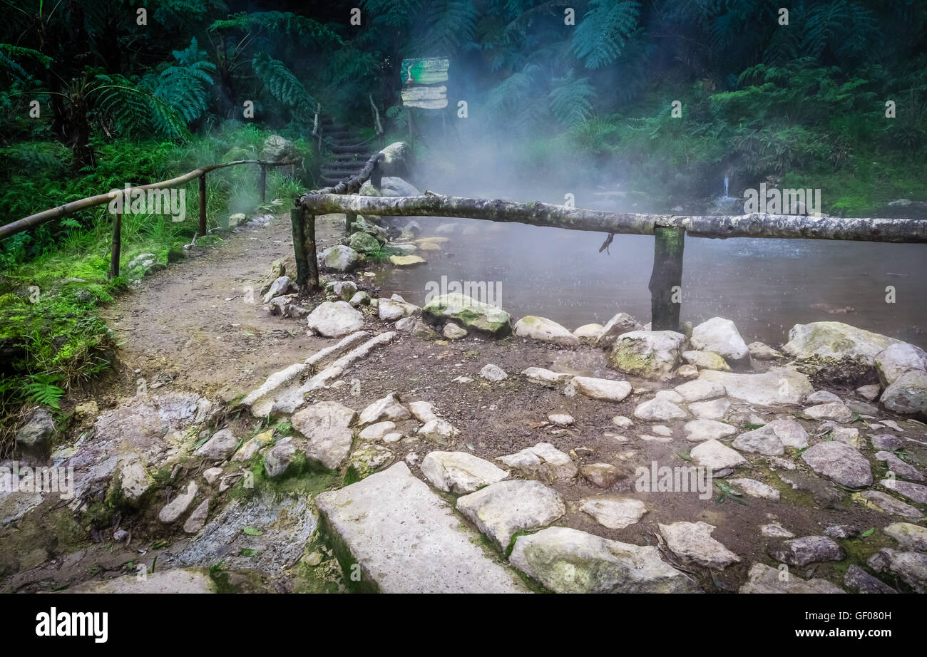 Bubbling water of the hot springs in Caldeira Velha, Sao Miguel Island ...