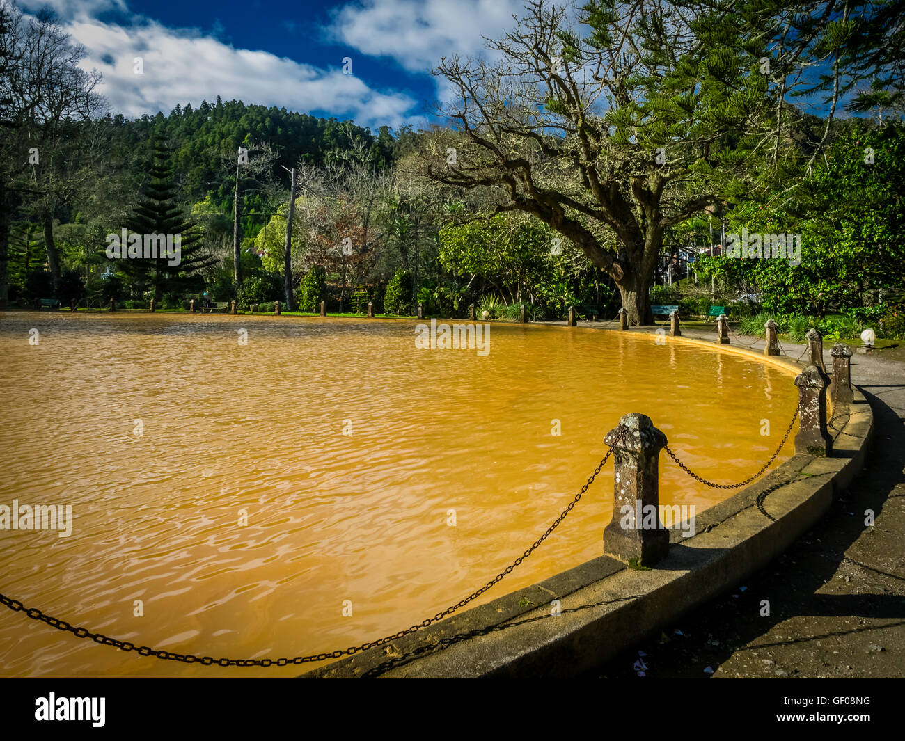 Ferruginous hot water spring pool in Furnas, Sao Miguel Island, Azores ...