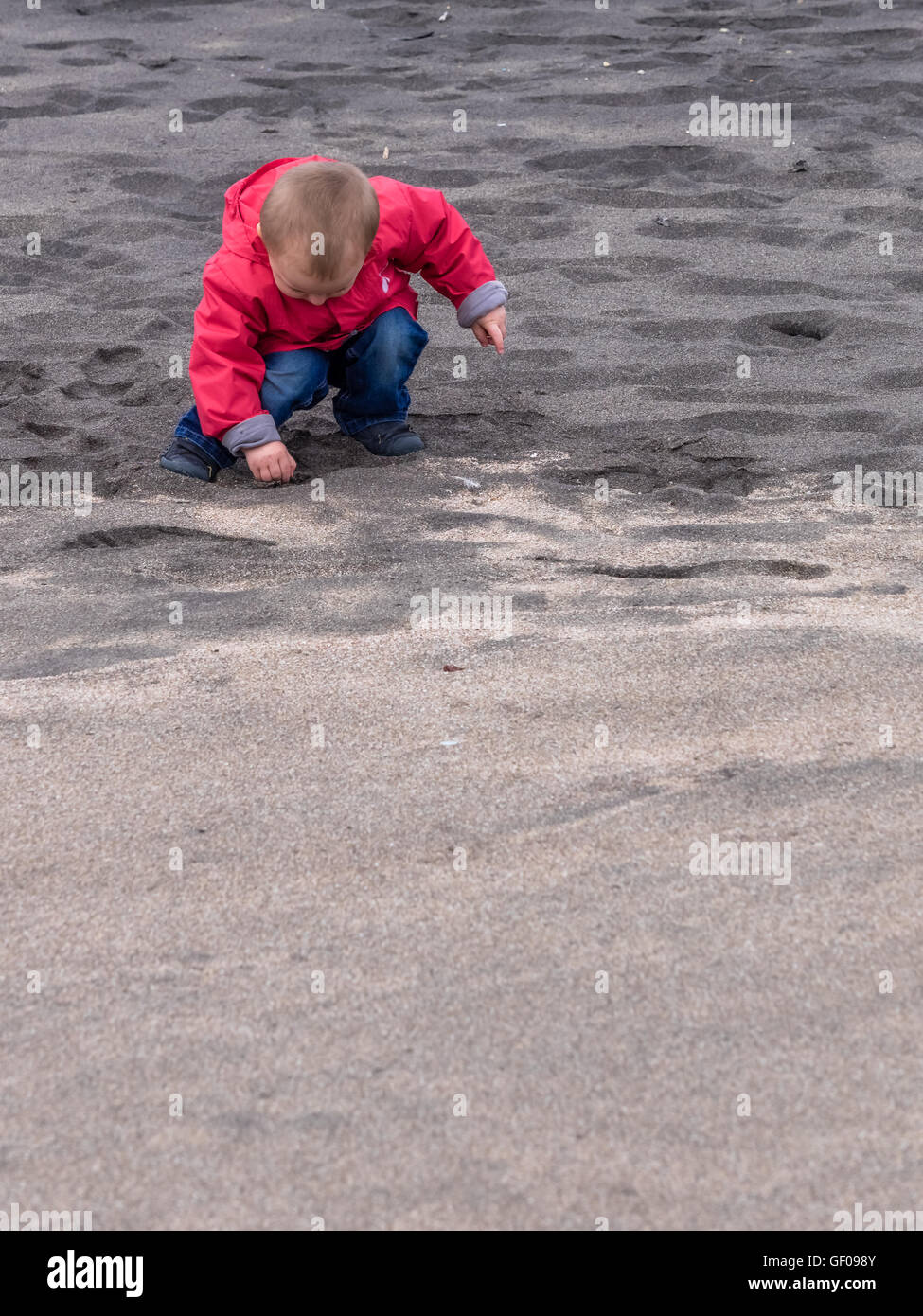 Boy collecting shells hi-res stock photography and images - Alamy