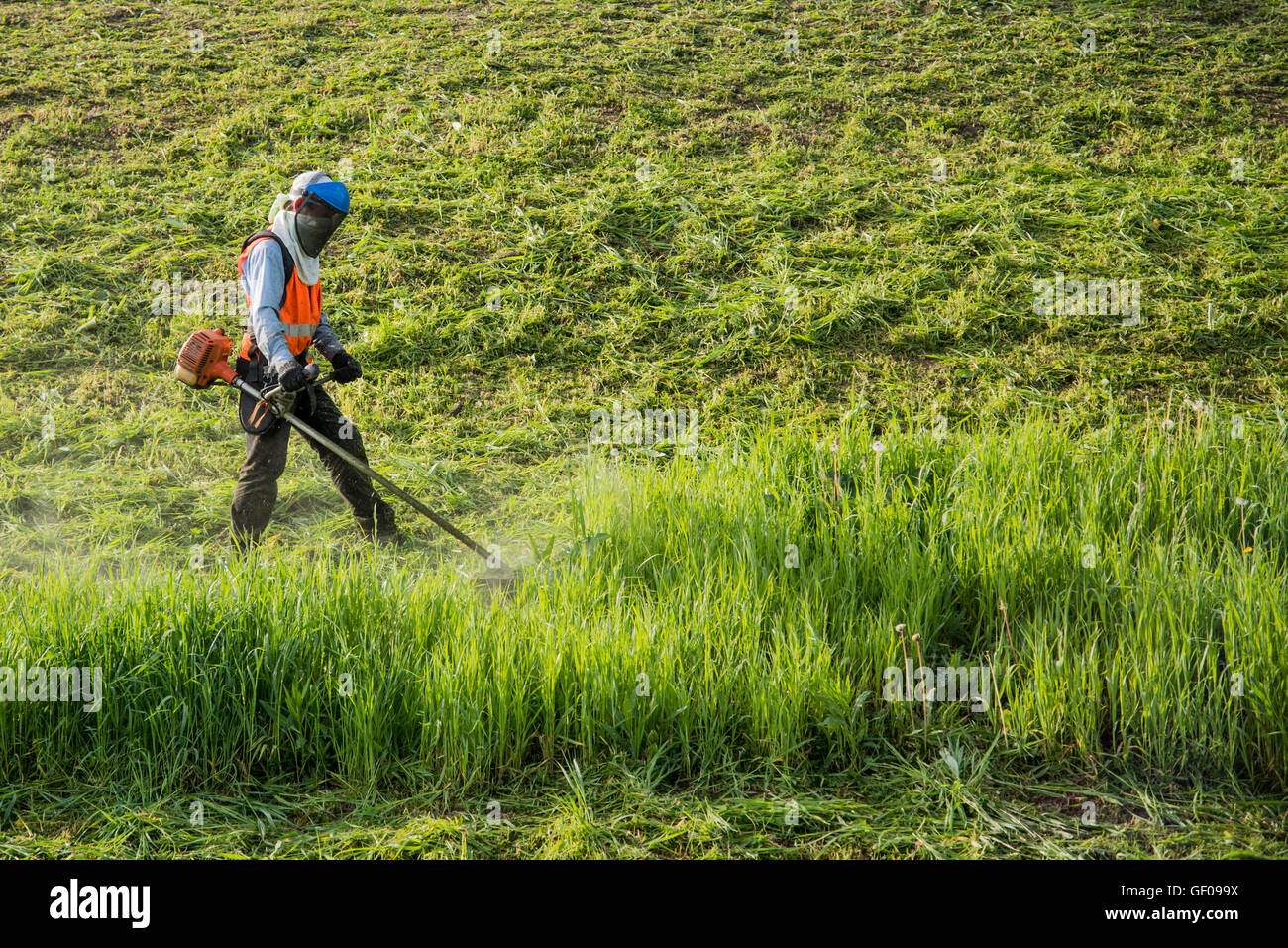 The worker in a uniform and mask cuts off grass Stock Photo - Alamy