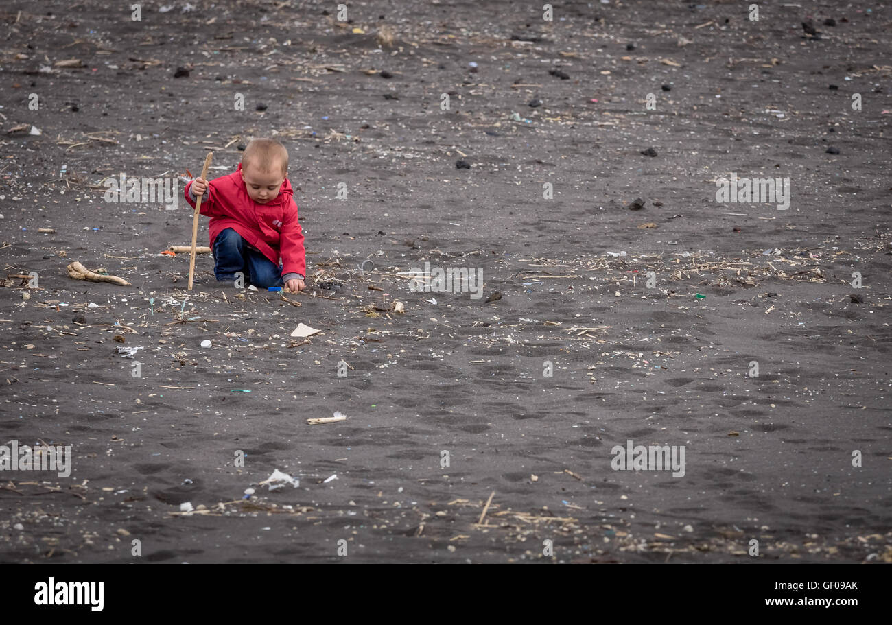 Boy collecting shells hi-res stock photography and images - Alamy
