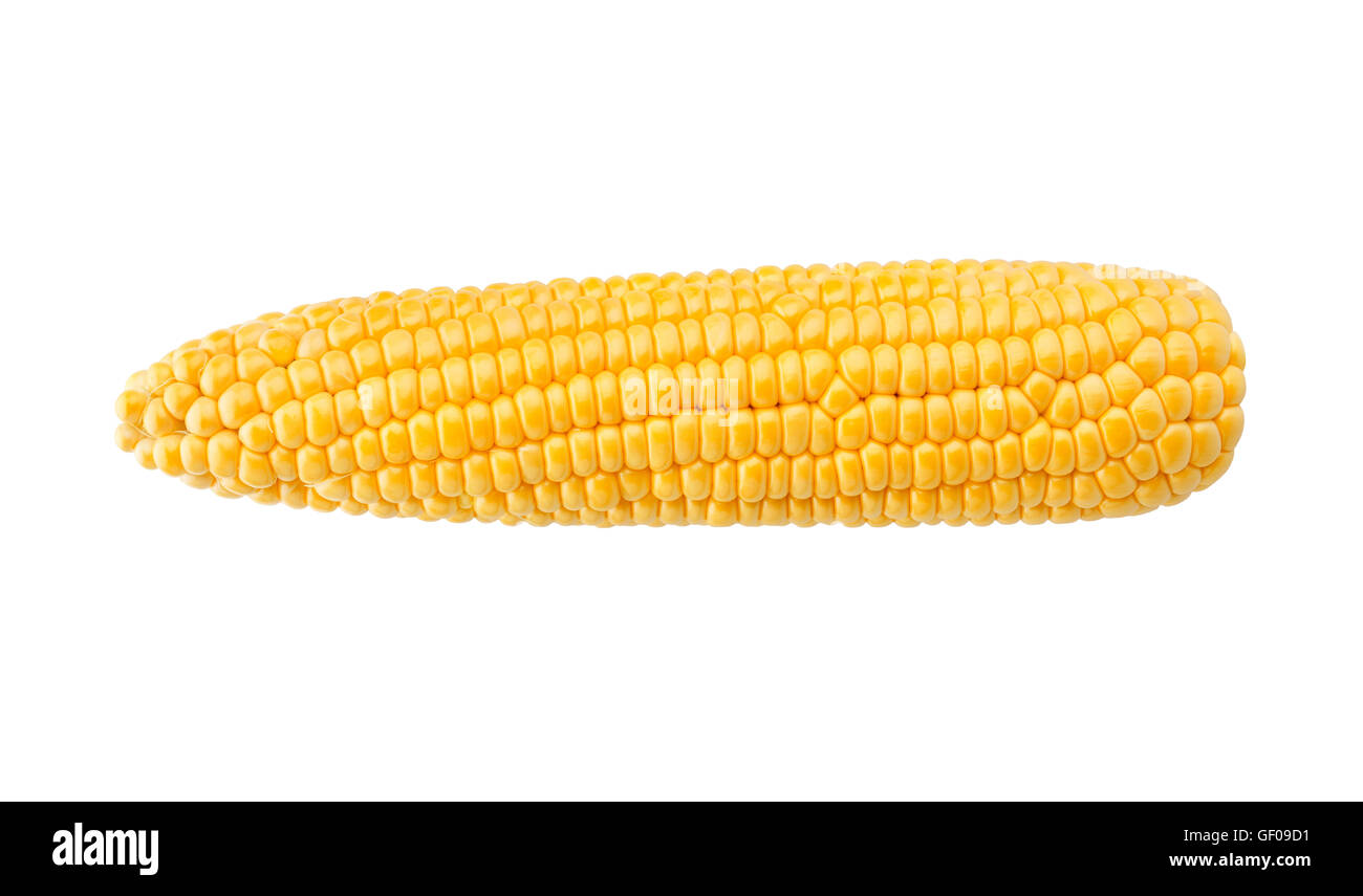 Ripe sweet corn Cut Out Stock Images & Pictures - Alamy