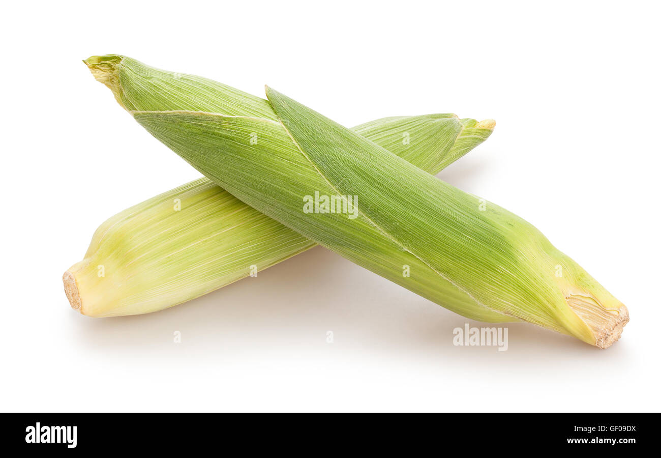Ear of grain corn hi-res stock photography and images - Alamy