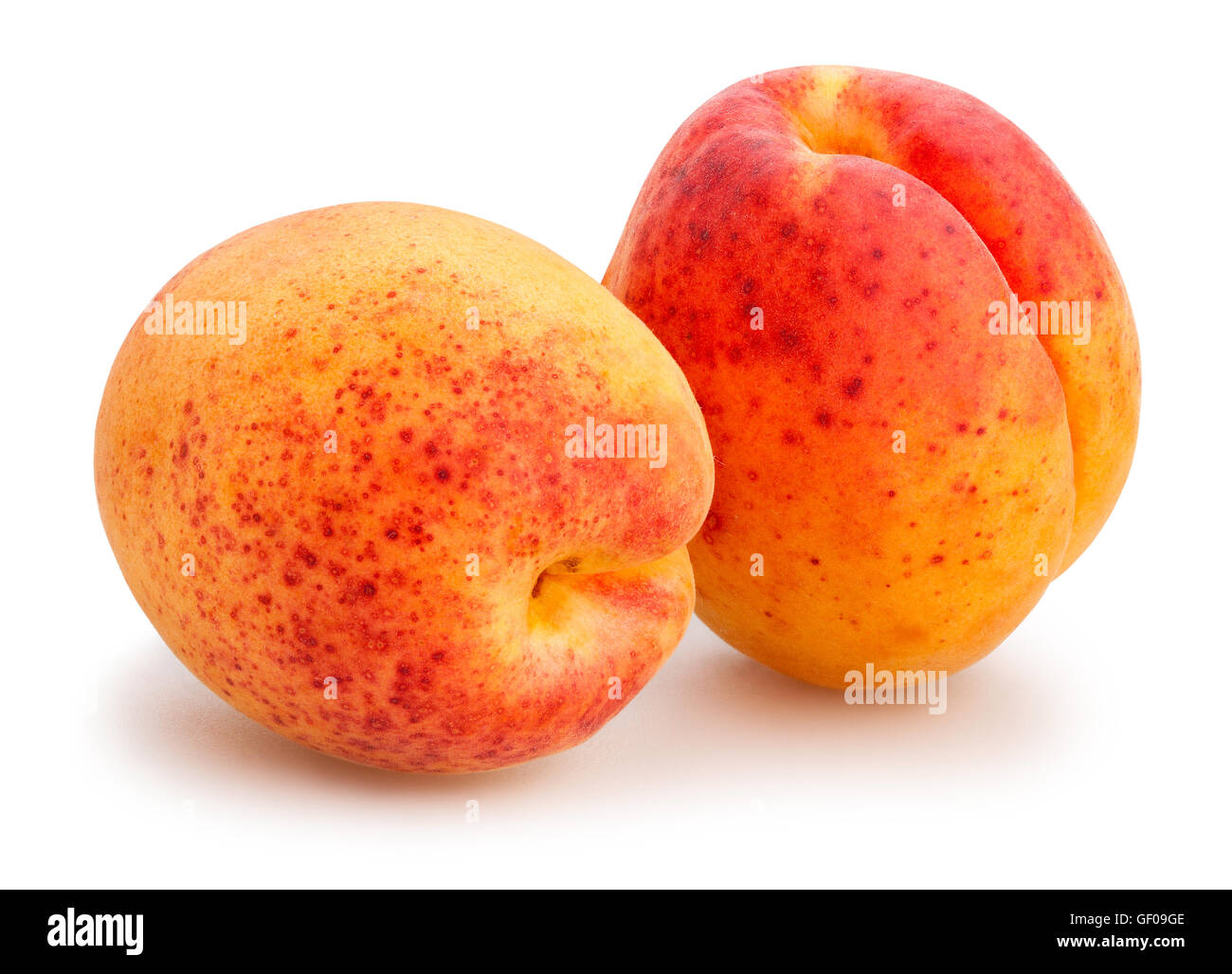Apricots hi-res stock photography and images - Alamy