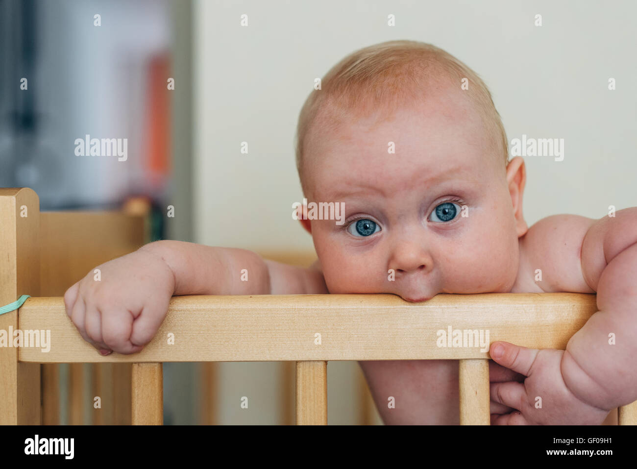 Little baby boy sanding in the cot and eats railing Stock Photo - Alamy