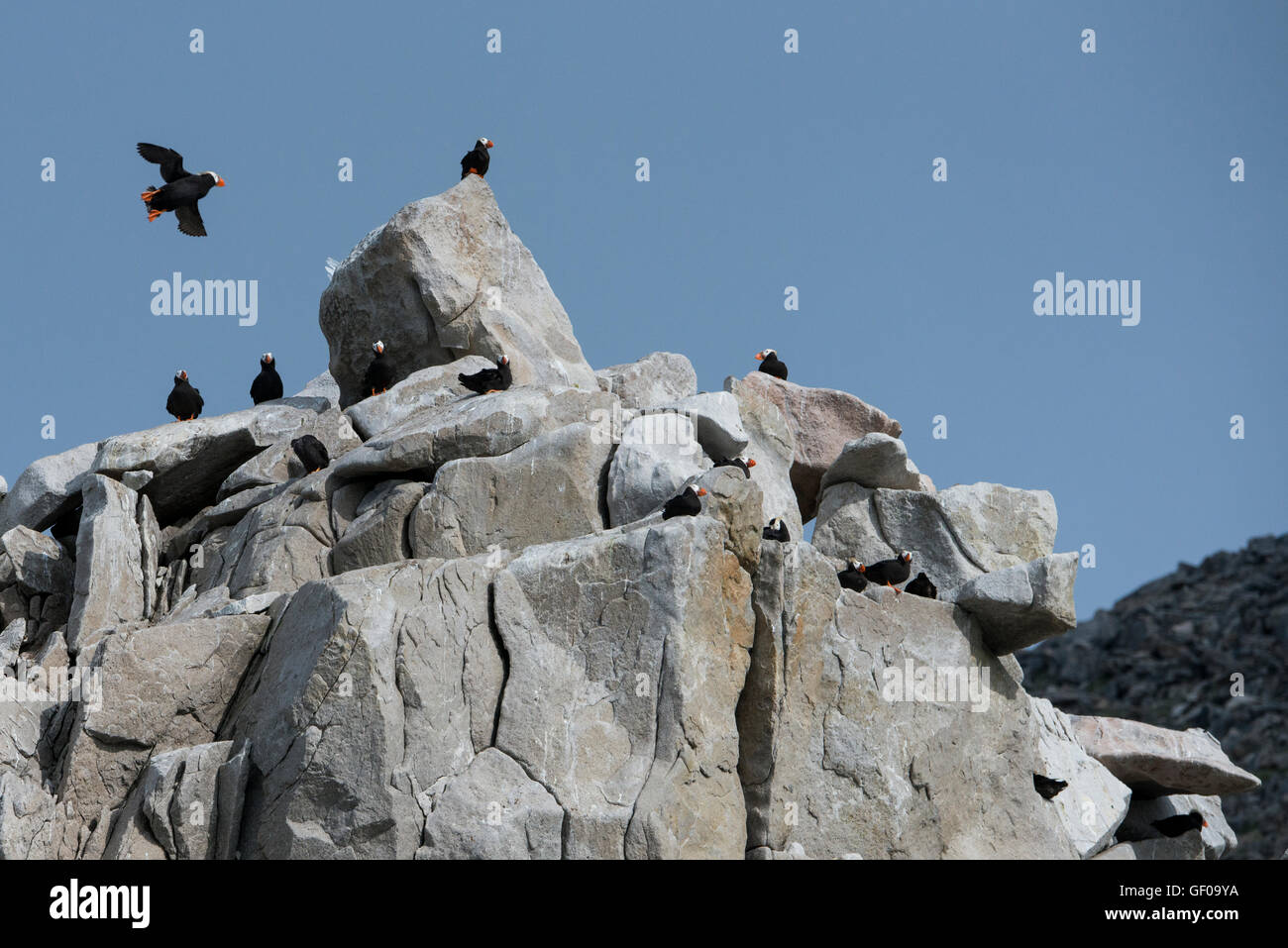 Russia, Russian Far East, Chukotka Autonomous Okrug aka Chukotka. Cape ...