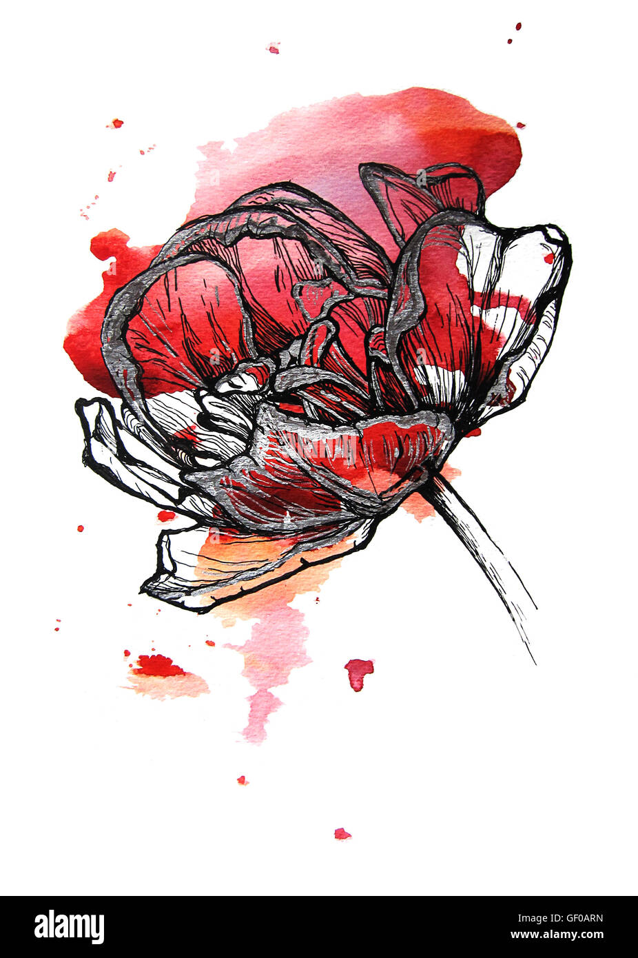 Garden scrapbook Cut Out Stock Images & Pictures - Alamy