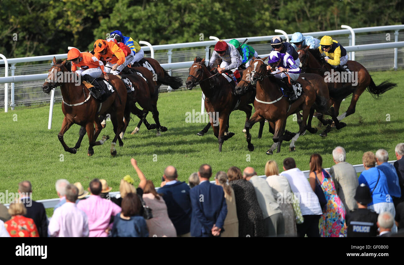 Shady Mccoy ridden by jockey James Doyle (right) on the way to winning ...