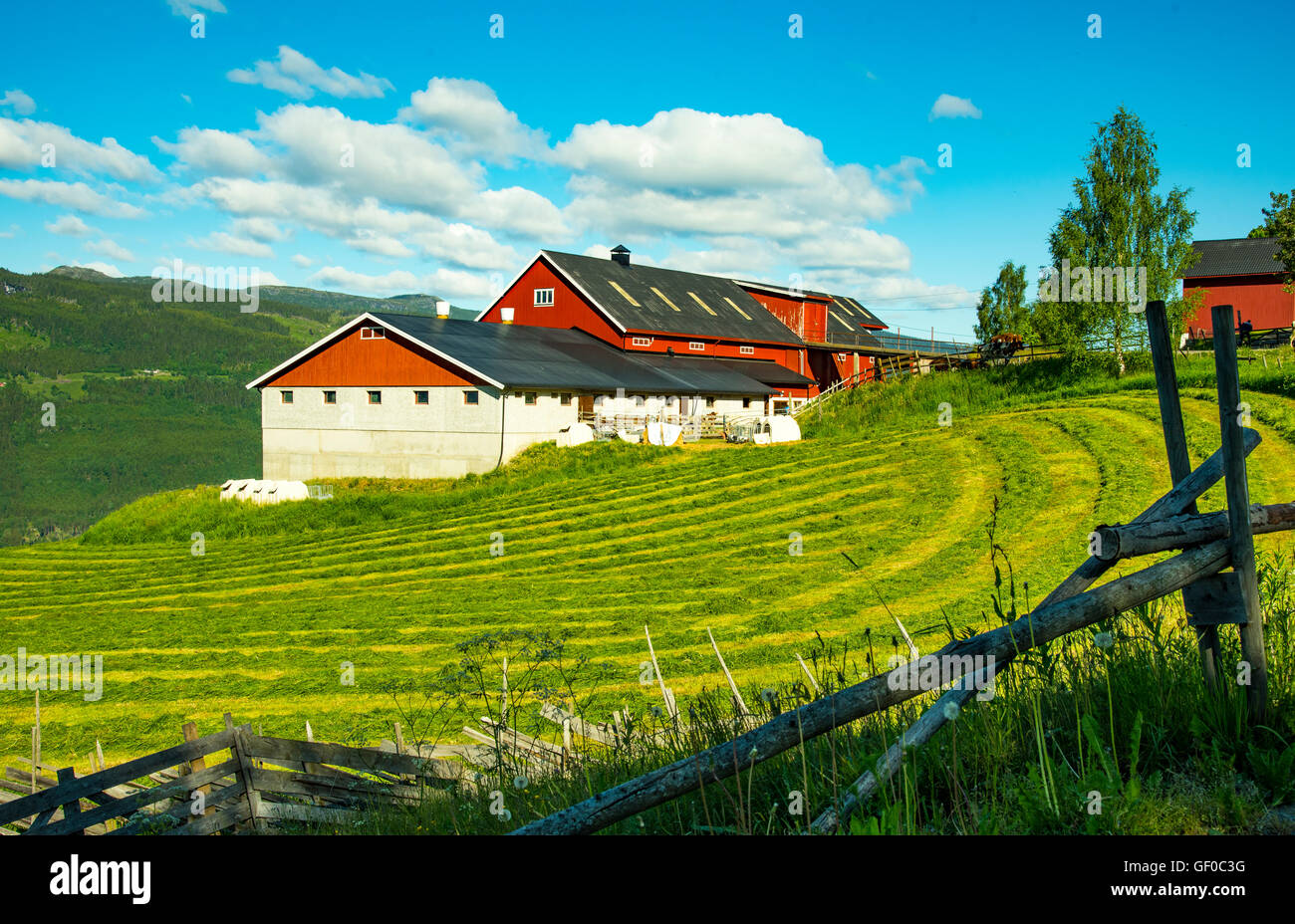 Beautiful farm of field of cut hay and red barn. Gudbrandsdalen Valley ...