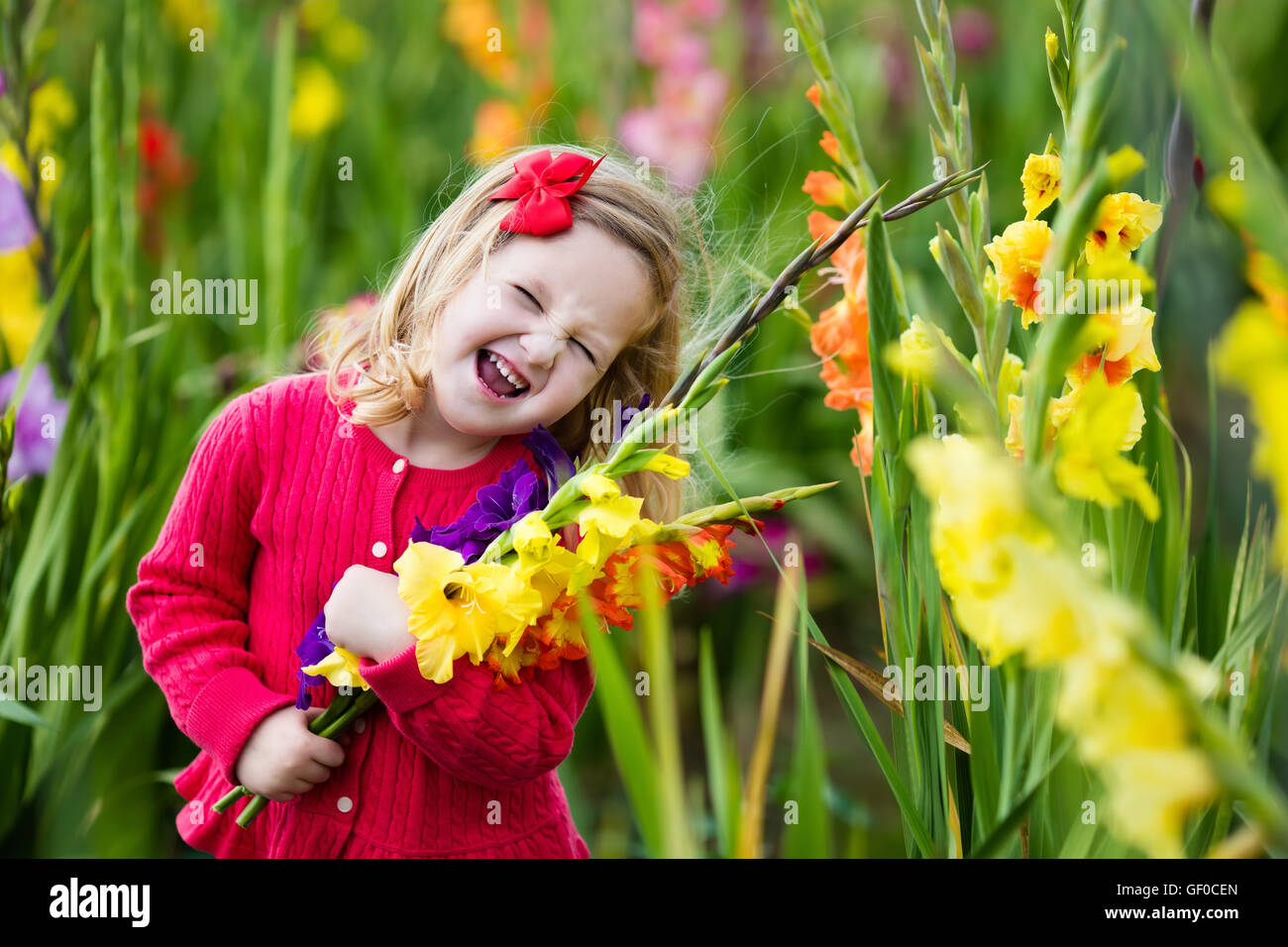 Little girl holding gladiolus flower bouquet. Child picking fresh ...