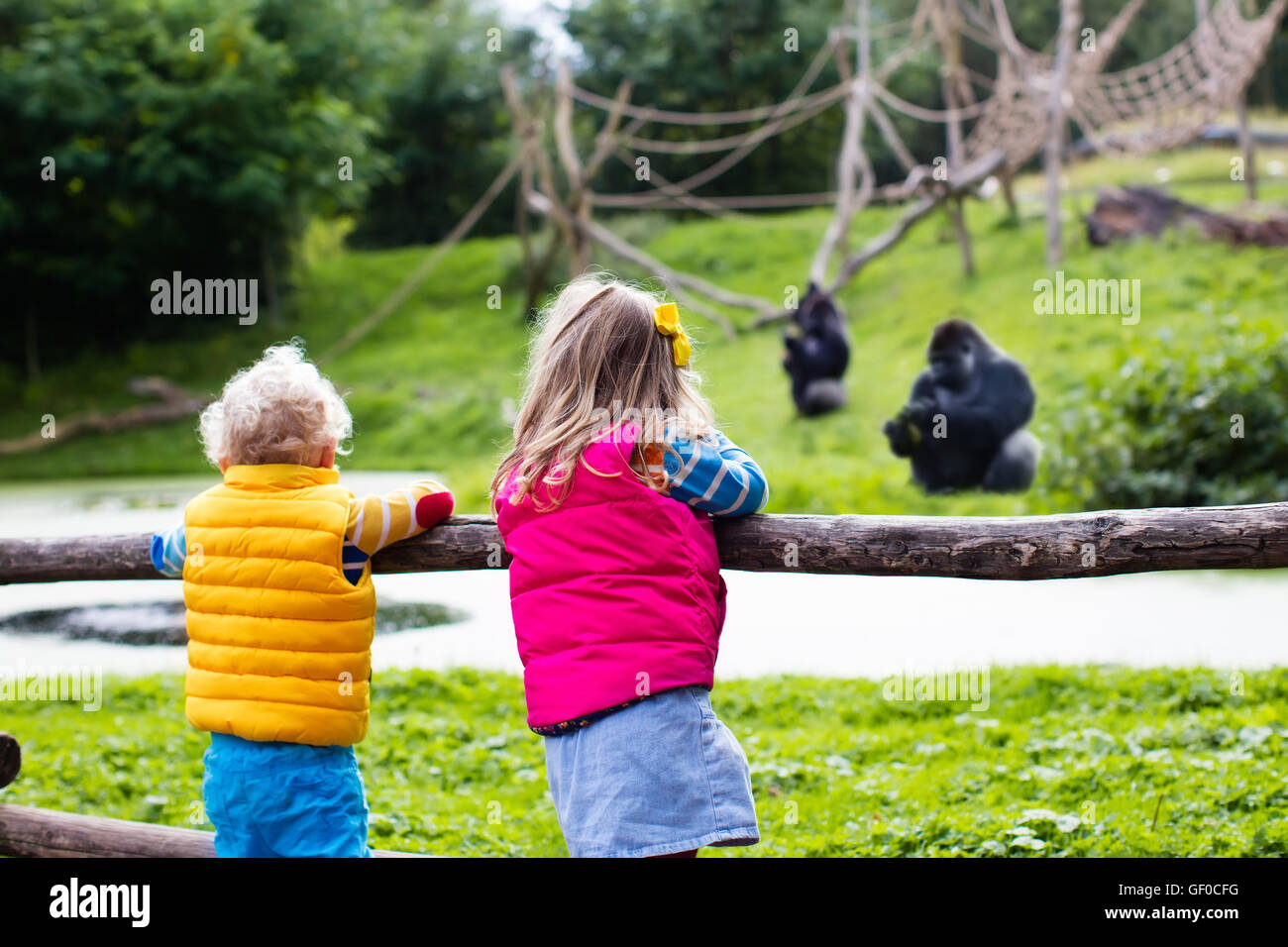 School children safari trip hi-res stock photography and images - Alamy