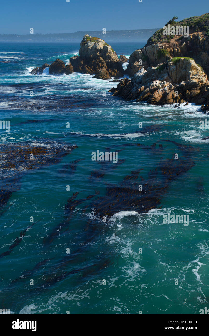 The pit at point lobos hi-res stock photography and images - Alamy