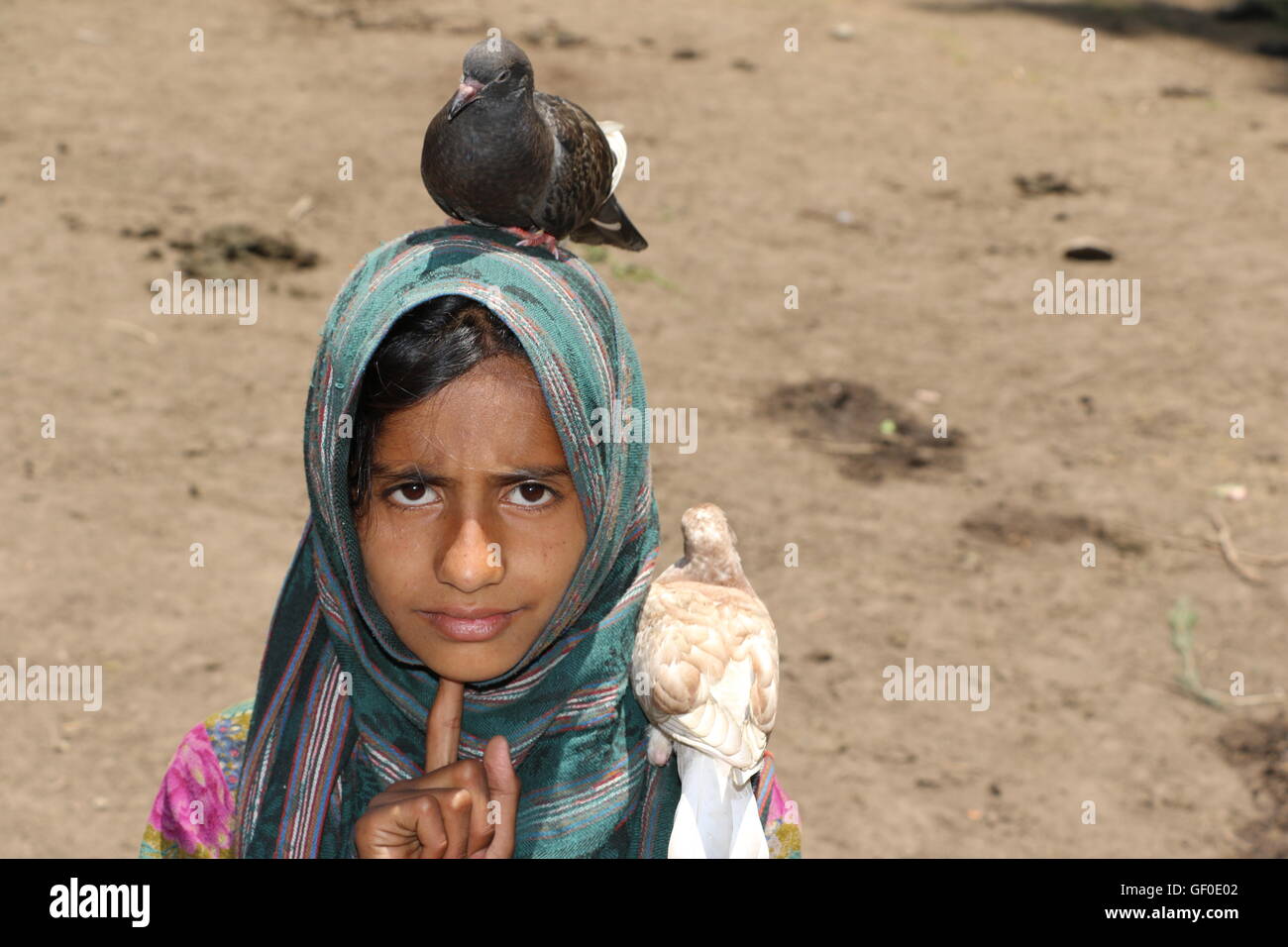 Children with wild pigeon Stock Photo - Alamy
