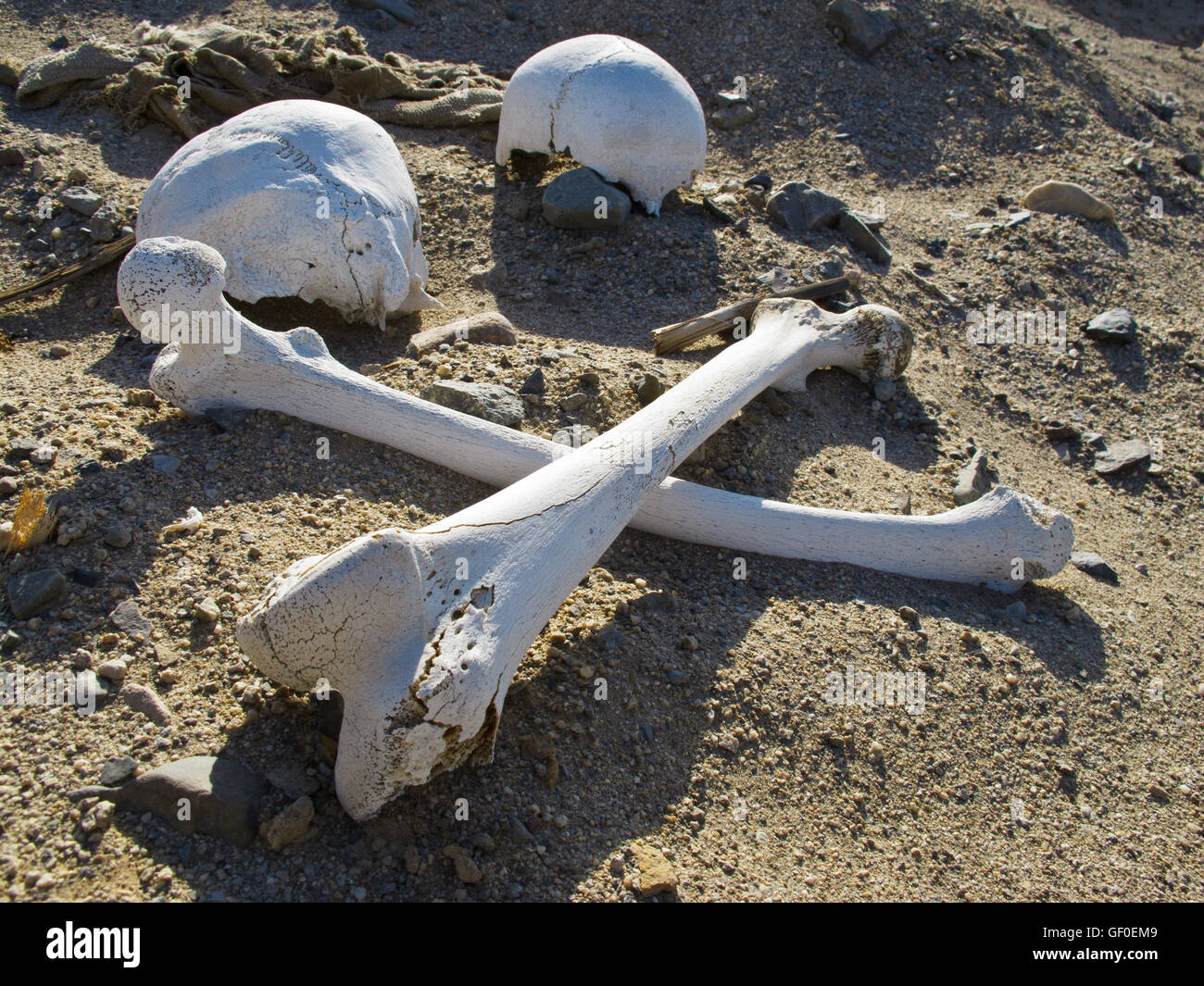 Valley of dry bones hi-res stock photography and images - Alamy