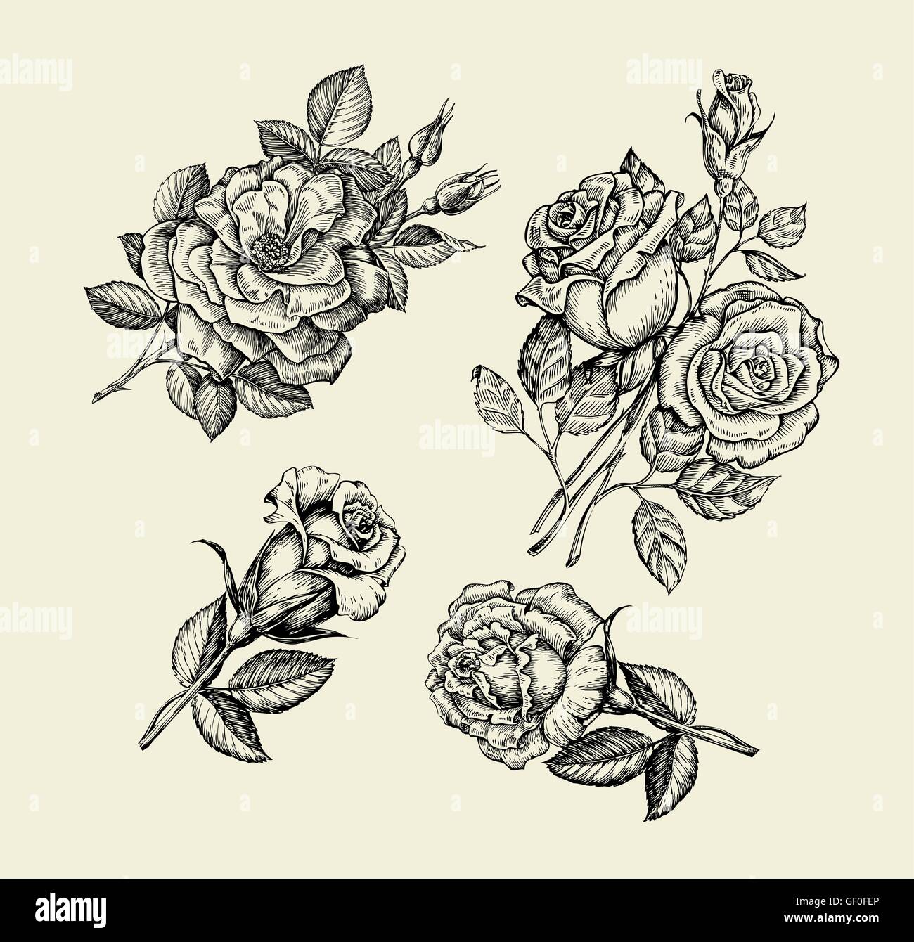 Vintage Rose Tattoo Pattern
