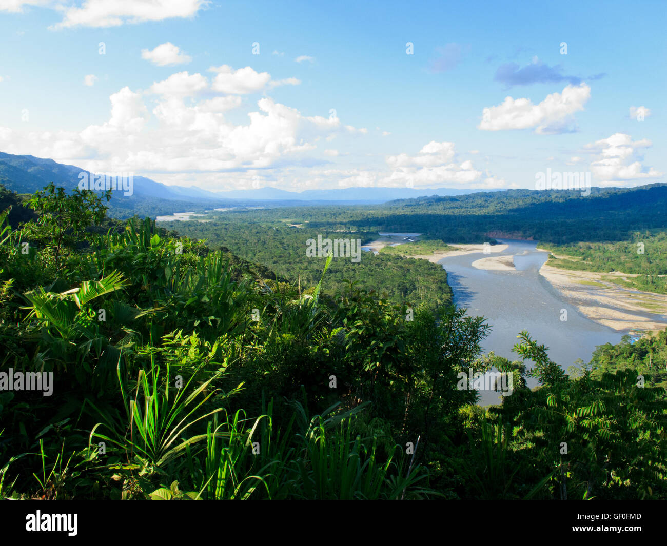 Manu National Park Stock Photos & Manu National Park Stock Images - Alamy