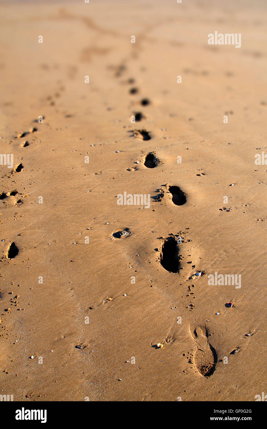 Deep footprints on a sandy beach Stock Photo - Alamy