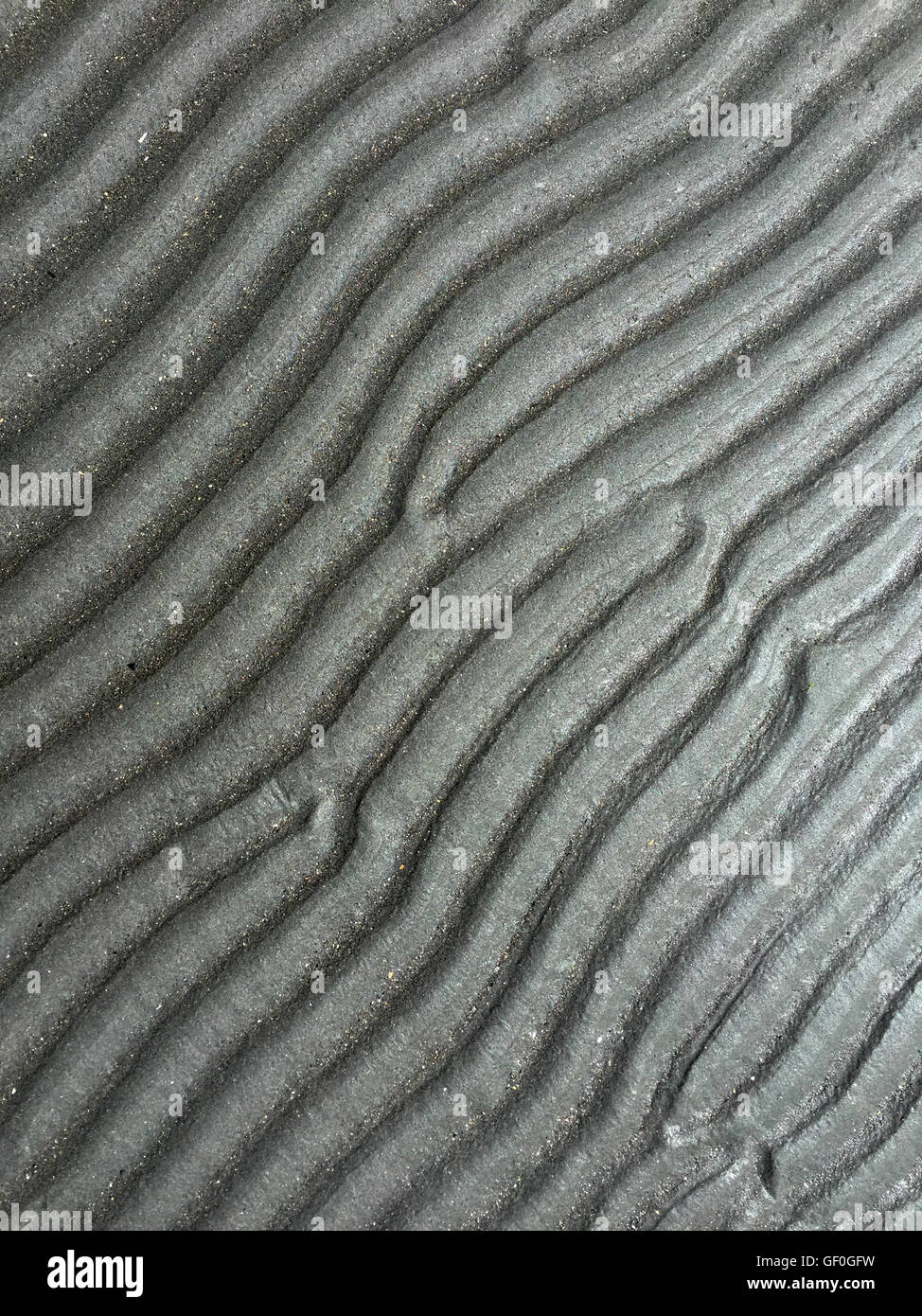 Tide action has left ripples in gray mud Stock Photo - Alamy