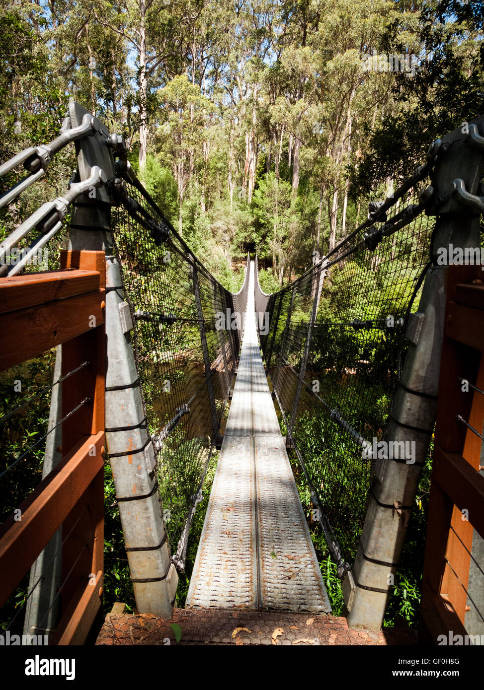 Swinging bridge tasmania hi-res stock photography and images - Alamy