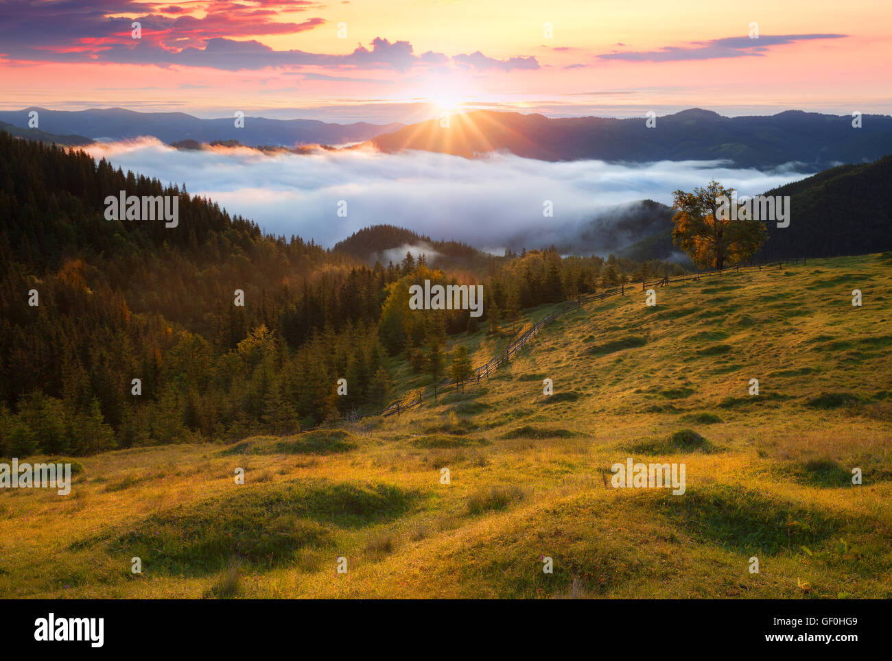 Summer morning mountains rural landscape Stock Photo - Alamy
