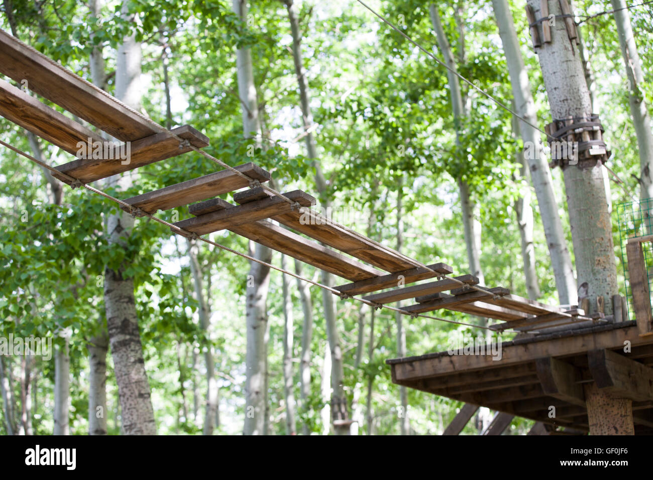 Tree top adventure park Stock Photo - Alamy