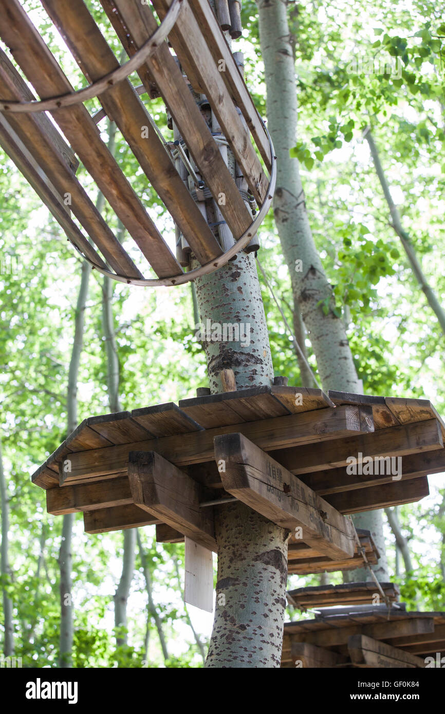 Tree top obstacle course hi-res stock photography and images - Alamy
