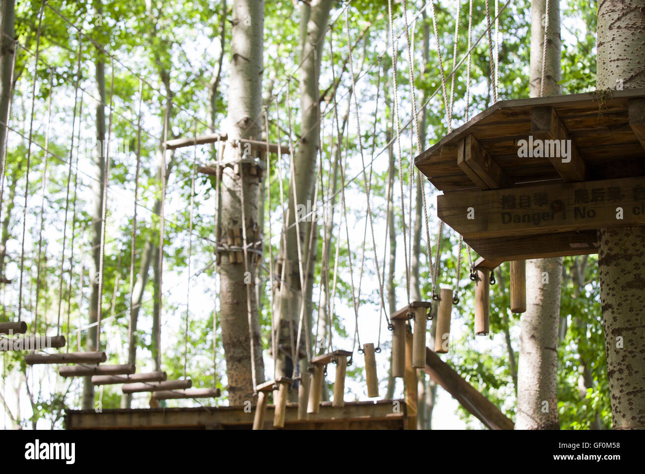 Tree top canopy tour hi-res stock photography and images - Alamy