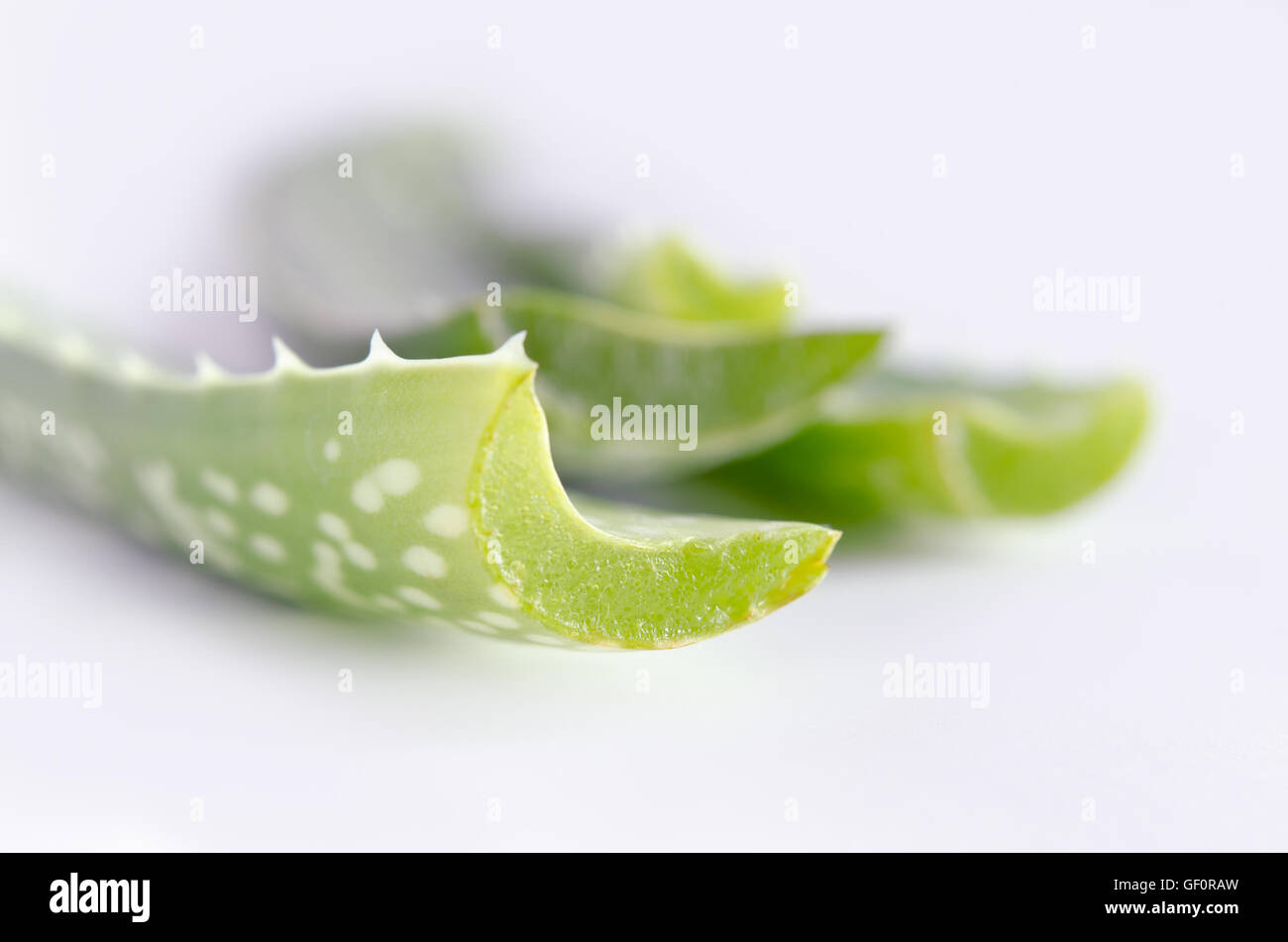 Aloe Vera (Also called as Aloe barbadensis Mill., Star cactus, Aloe ...