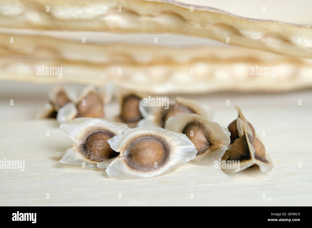 Moringa (Other names are Moringa oleifera Lam., MORINGACEAE, Futaba kom ...