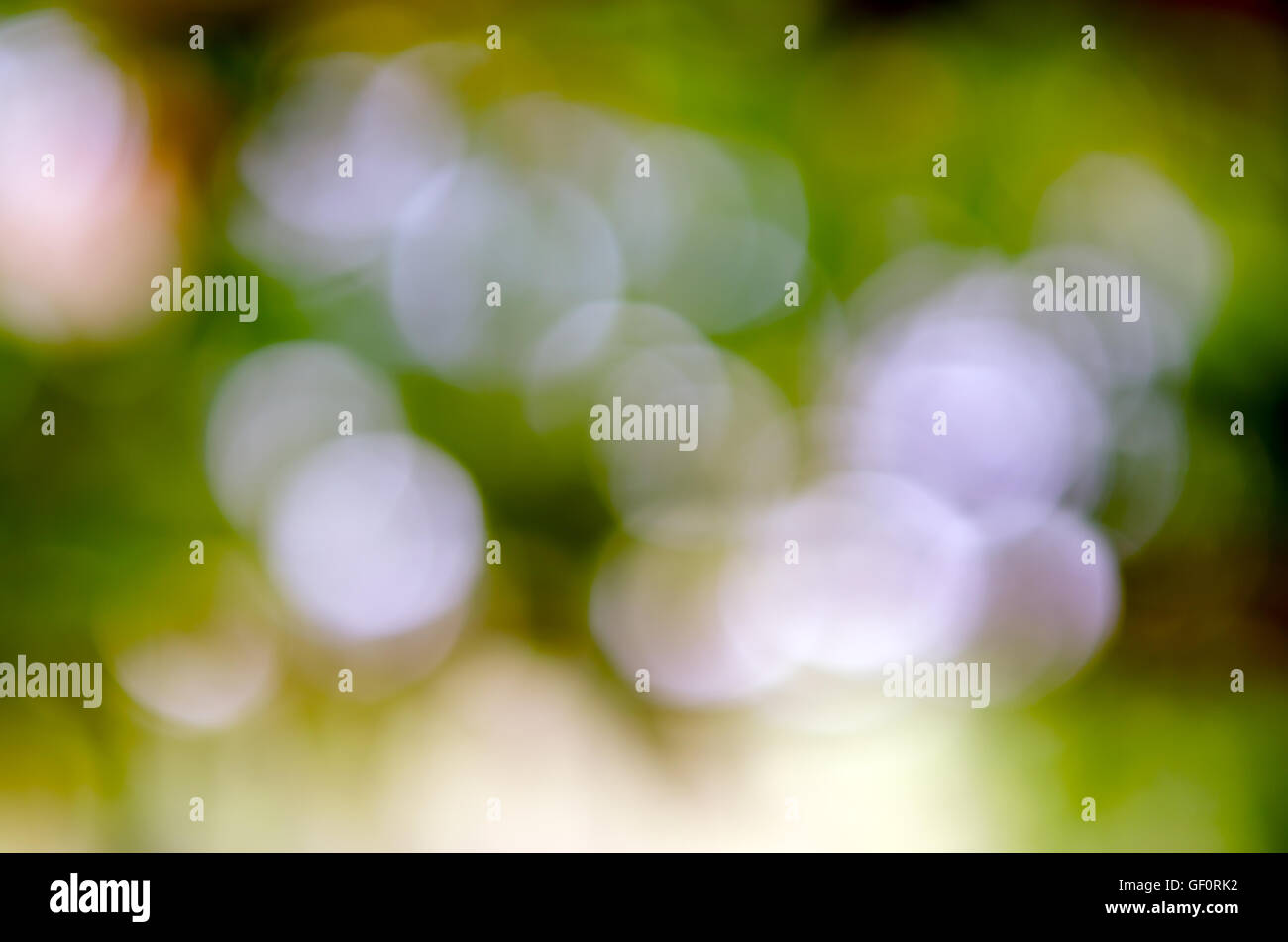 Abstract Bokeh background of tree, sky, light and sun shade Stock Photo ...