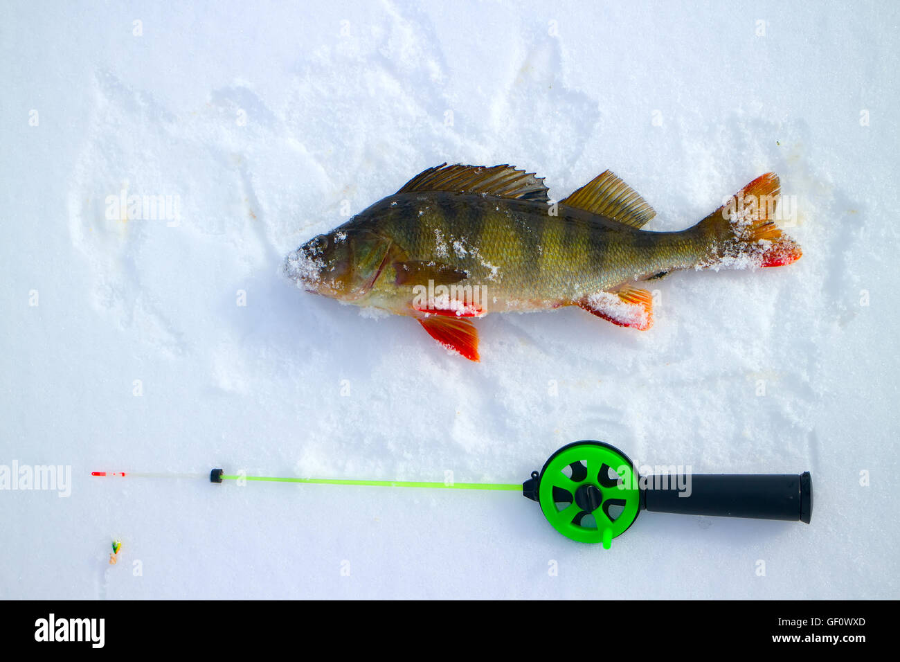 Big mouth bass hi-res stock photography and images - Alamy