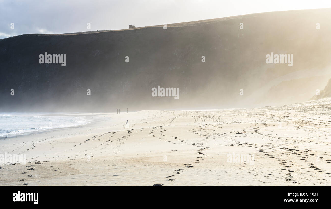 Sandfly Bay, New Zealand Stock Photo - Alamy