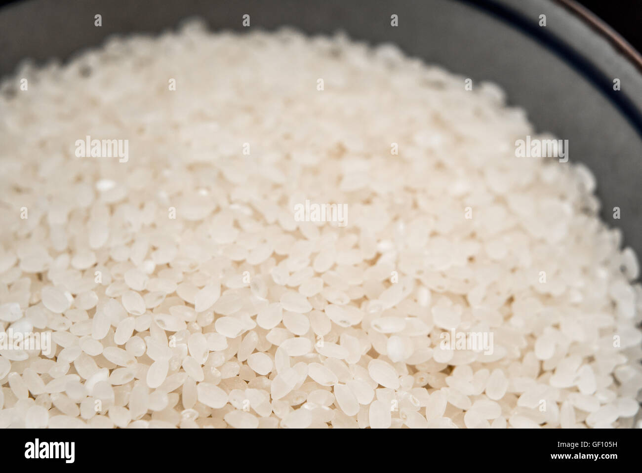 Rice shoot hi-res stock photography and images - Alamy
