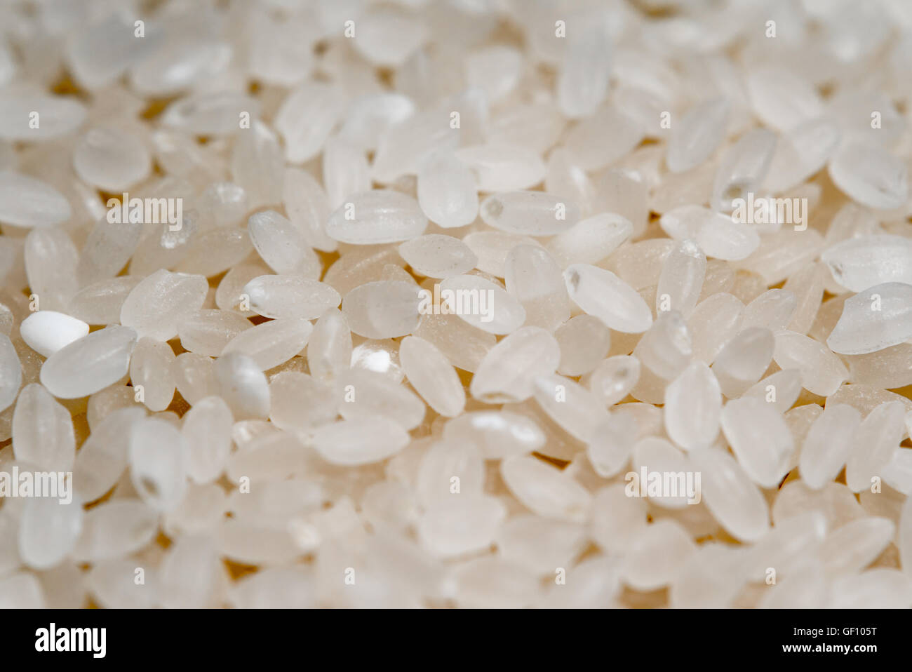 Macro shoot of rice Stock Photo - Alamy