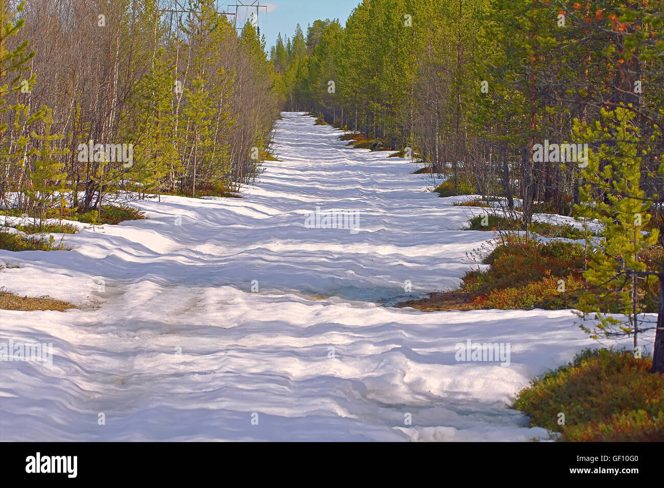 window view of the forest in early spring Stock Photo - Alamy