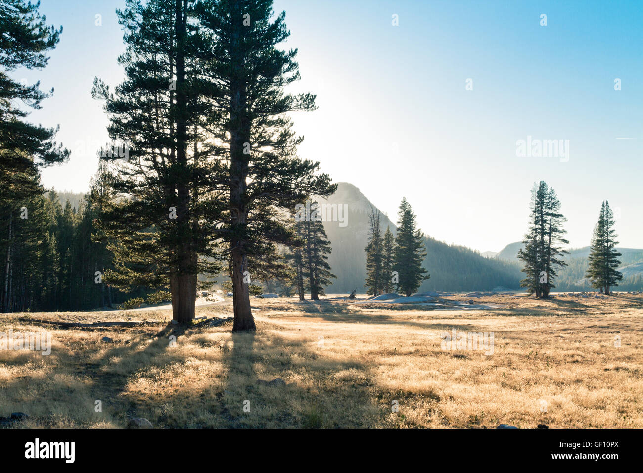 Lake Tioga, Yosemite National Park, USA Stock Photo - Alamy