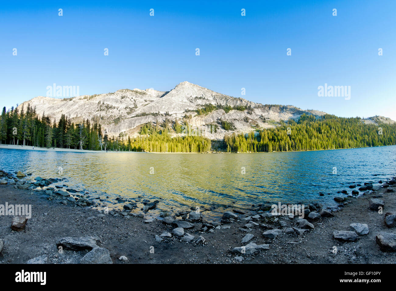 Tioga yosemite hi-res stock photography and images - Alamy