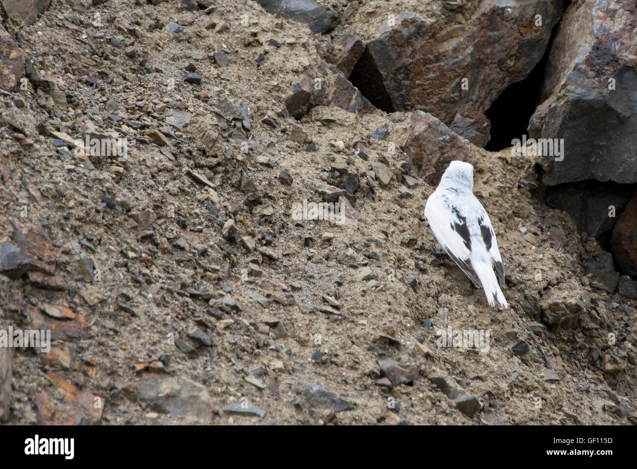 Alaska, Bering Sea, Alaska Maritime National Wildlife Refuge, St ...