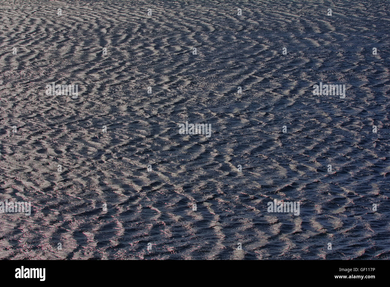 sea surface covered with regular wave crests, forming harmonious ...