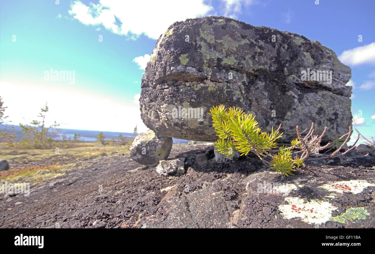 northern religious stone of ancient times Stock Photo - Alamy