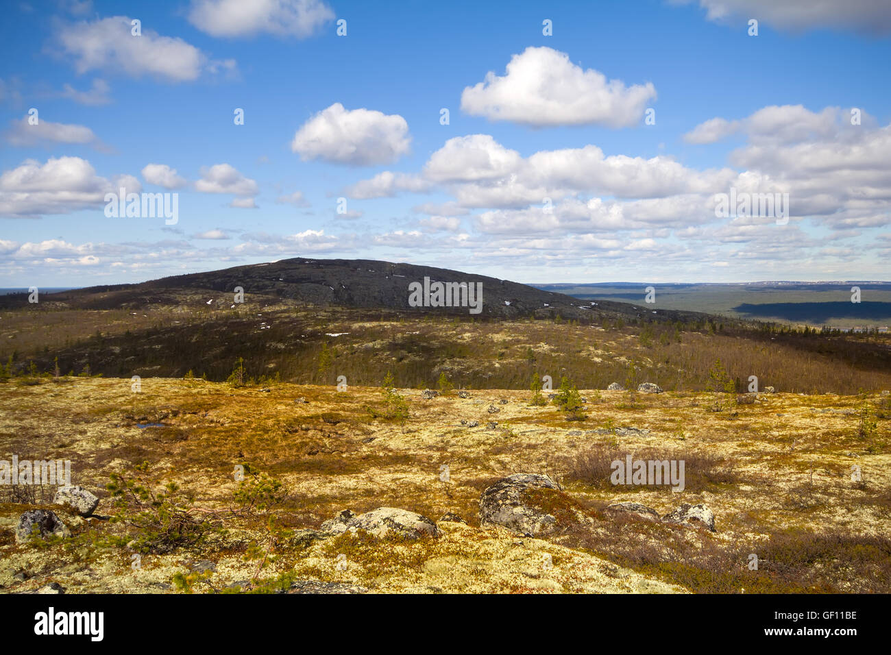 mountain tundra and forest at bottom of wonderful polar landscape Stock ...
