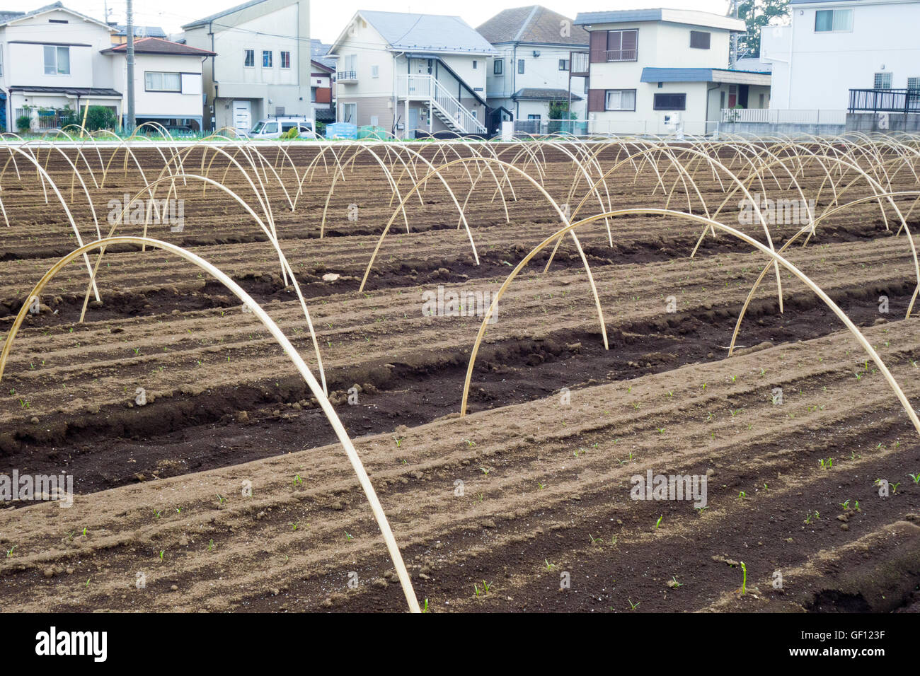 Healthy soil section hi-res stock photography and images - Alamy
