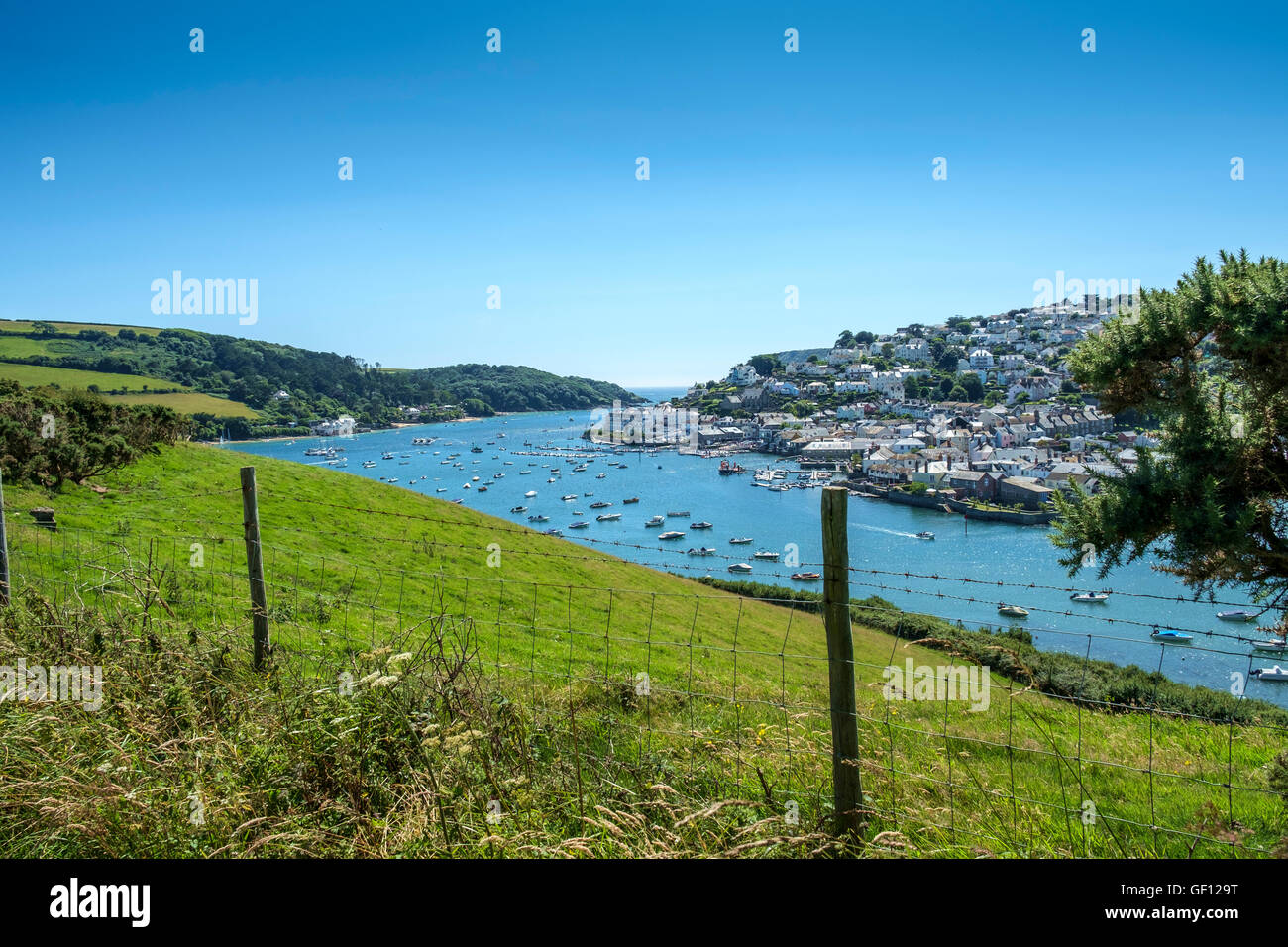 Salcombe and Kingsbridge Estuary seen from Snapes Point. Salcombe ...