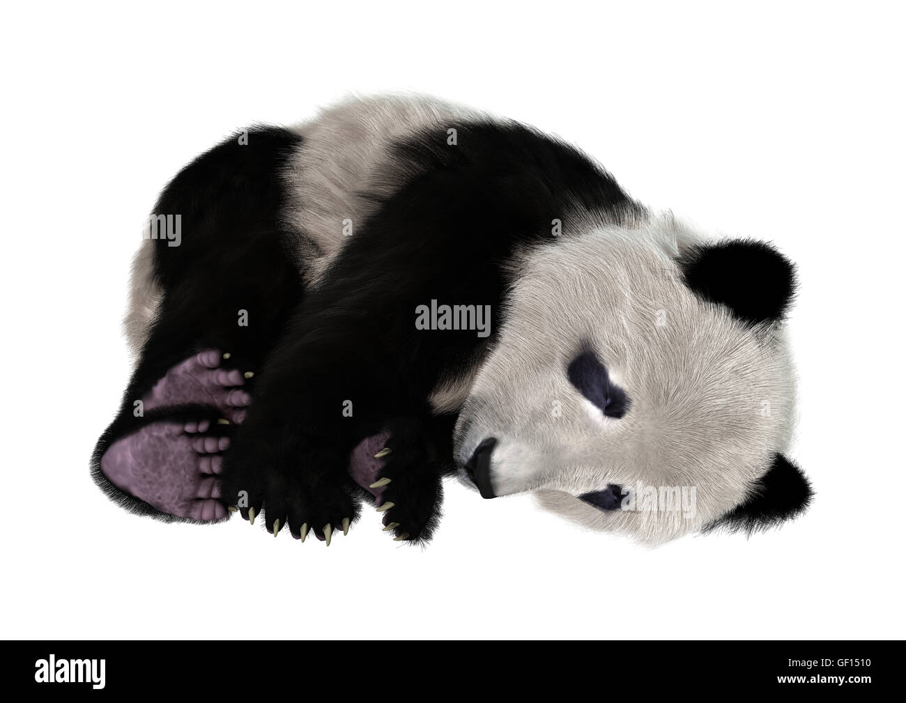 3D rendering of a panda bear isolated on white background Stock Photo ...