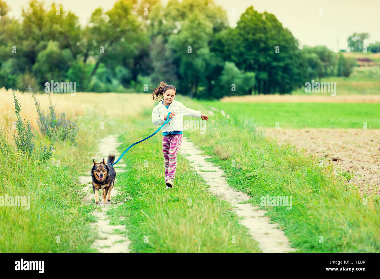 Little girl running with dog in countryside Stock Photo - Alamy
