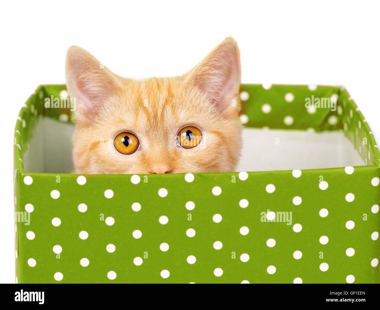 Look out box hi-res stock photography and images - Alamy