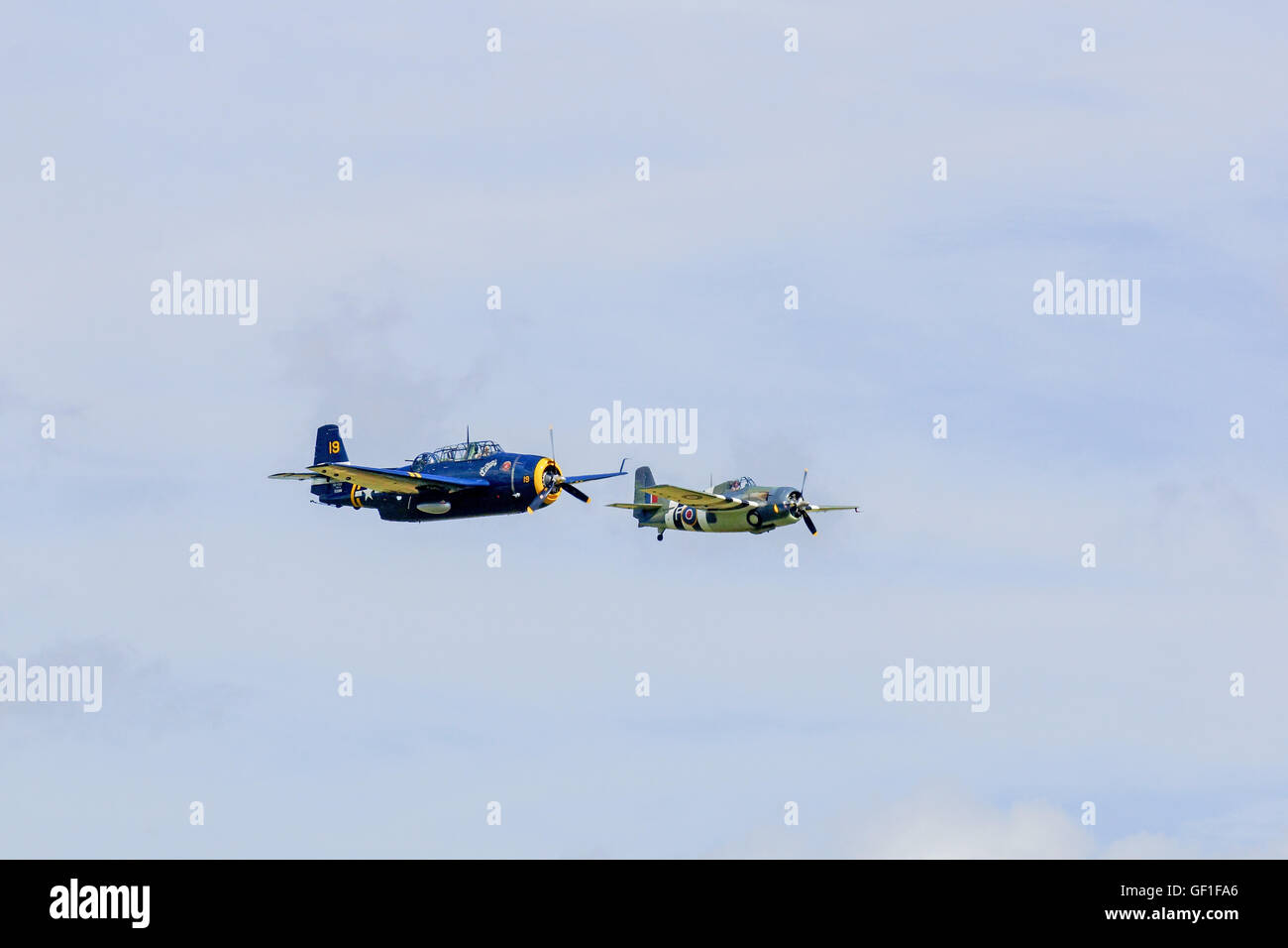 Grumman TBM-3R Avenger and Grumman Wildcat at RAF Duxford,Flying ...