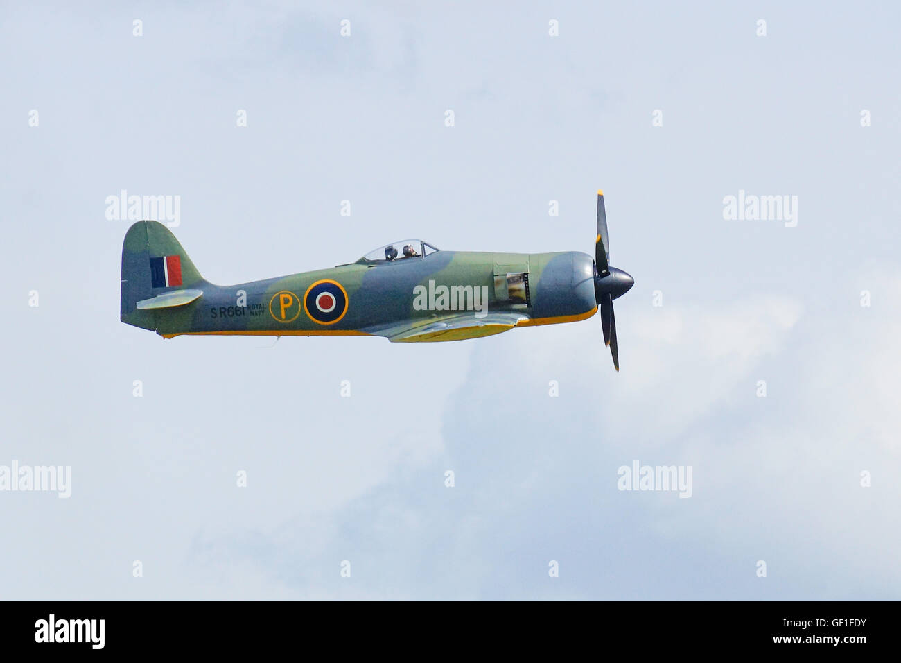 Sea Fury FB 10 37539 at Flying Legends RAF Duxford Stock Photo - Alamy