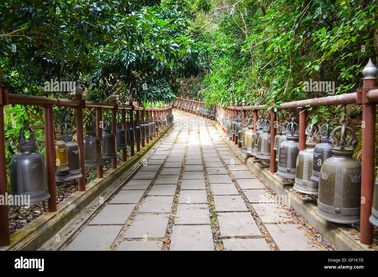 Gate flower garden in hi-res stock photography and images - Alamy